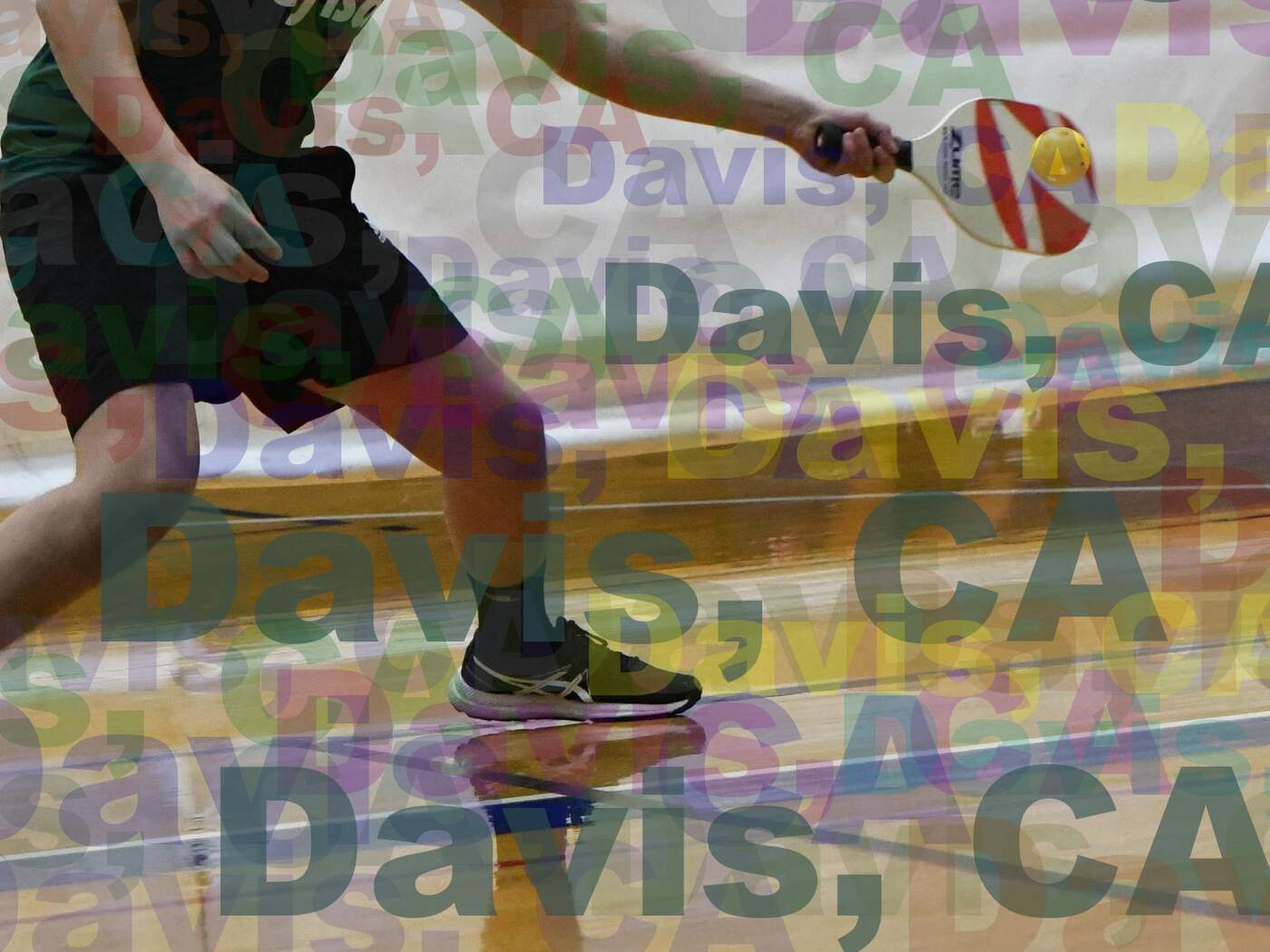 Davis CA Pickleball Courts & Beginner Clinics